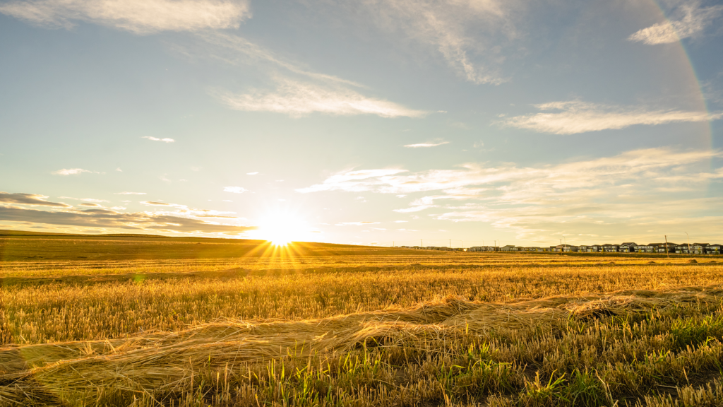 Lewiston Homes in Calgary – Genesis Builders | Genesis Builders